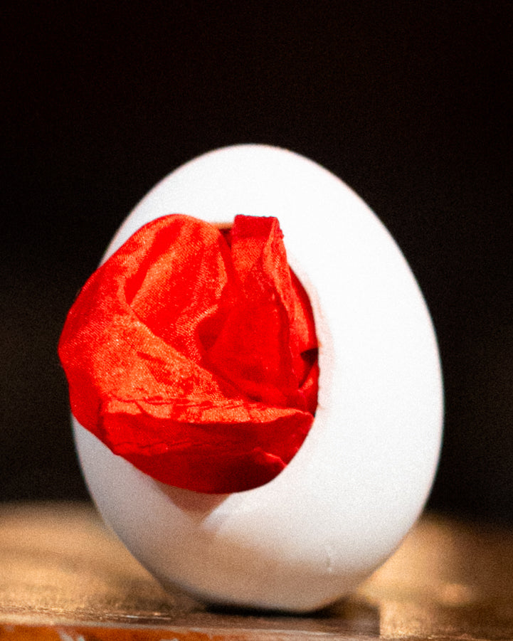 SILK TO EGG: DELUXE – Tannen's