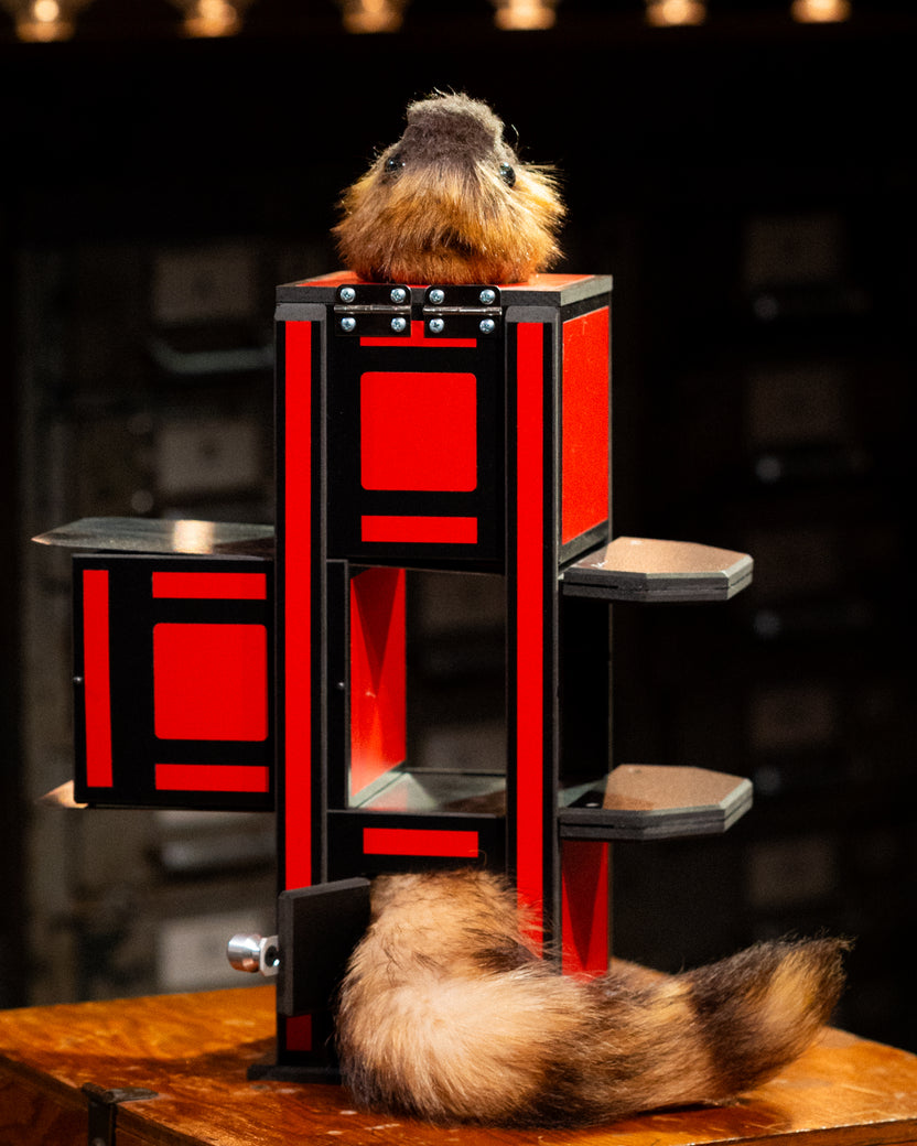 Tannen's Magic | America's Oldest Magic Shop